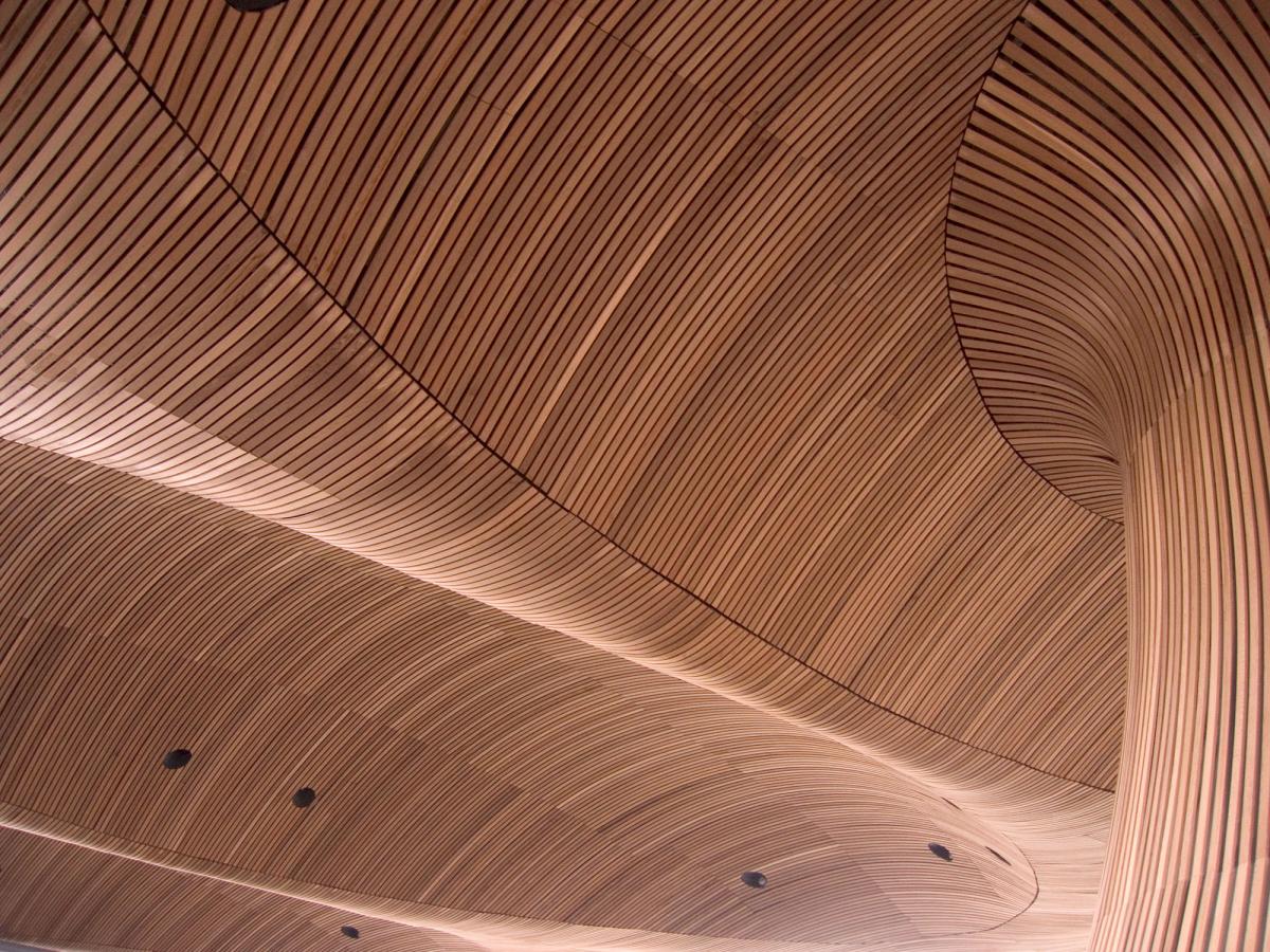 Response to the Health and Social Care Committee consultation into the ...