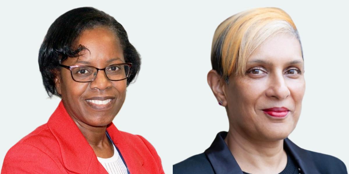 Joan Saddler and Lena Samuels: Supporting healthcare organisations to ...